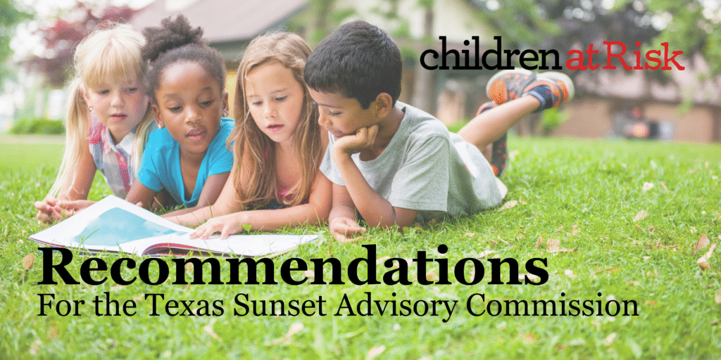 Recommendations for the Texas Sunset Commission Ahead of the 90th Texas ...